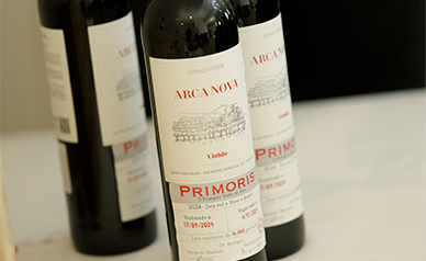 No São Martinho vai à adega e prova o…Primoris